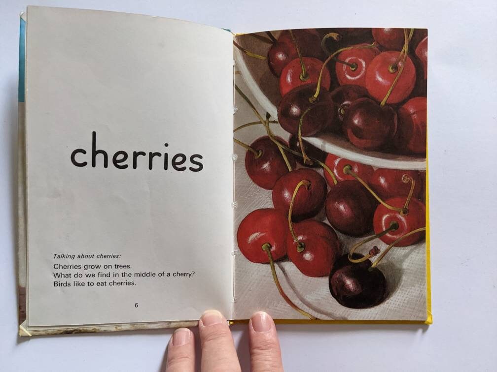 A Ladybird Fifth Picture Book 'the Farm' Pre-school Vintage 1973 - Etsy