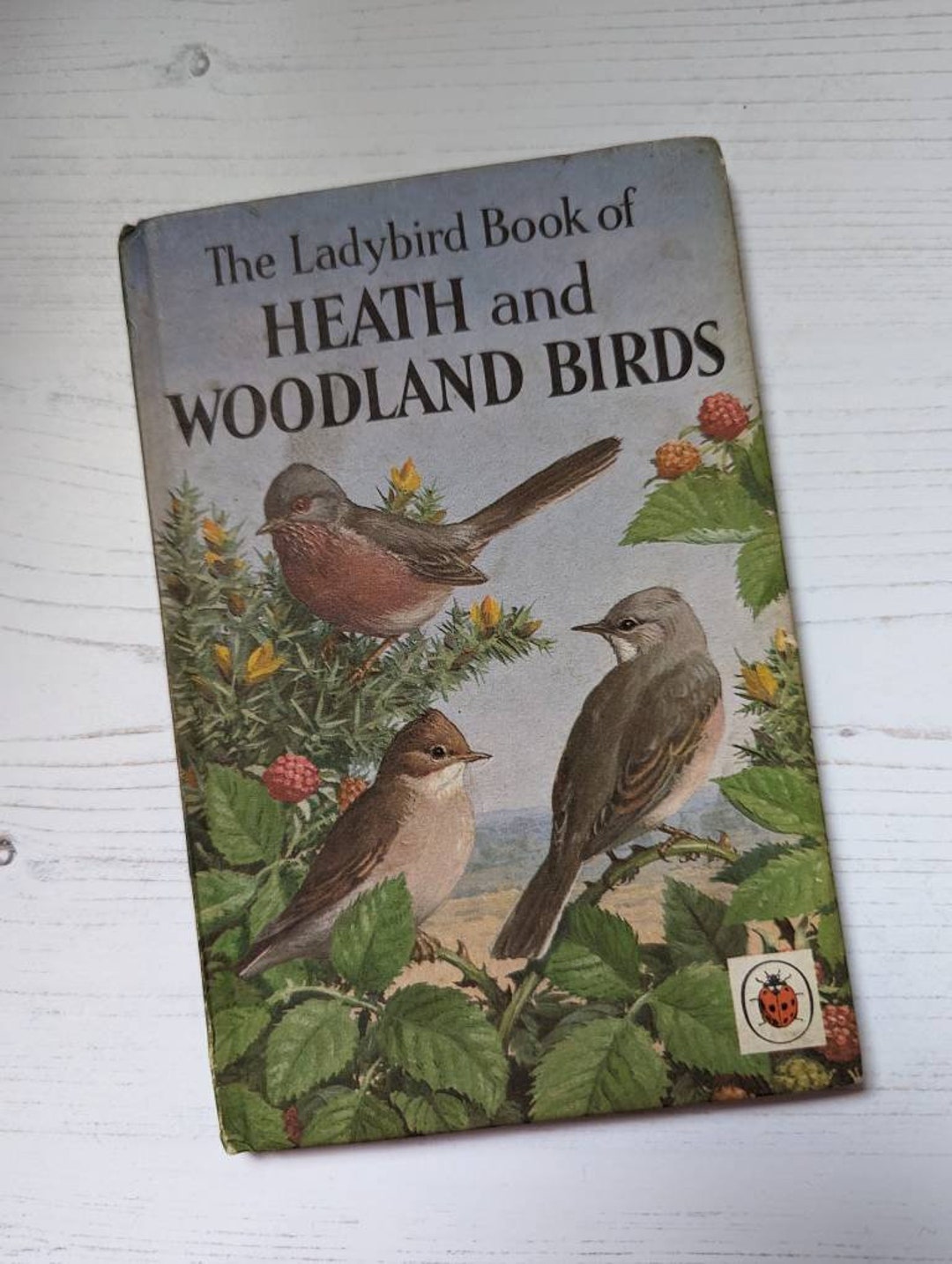 The Ladybird Book of Heath and Woodland Birds 1968 Series 536 - Etsy