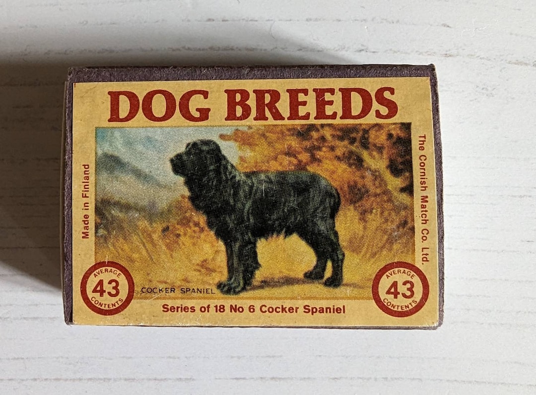 Vintage Dog Breeds Cocker Spaniel Matchbox Inc Some Matches - Etsy