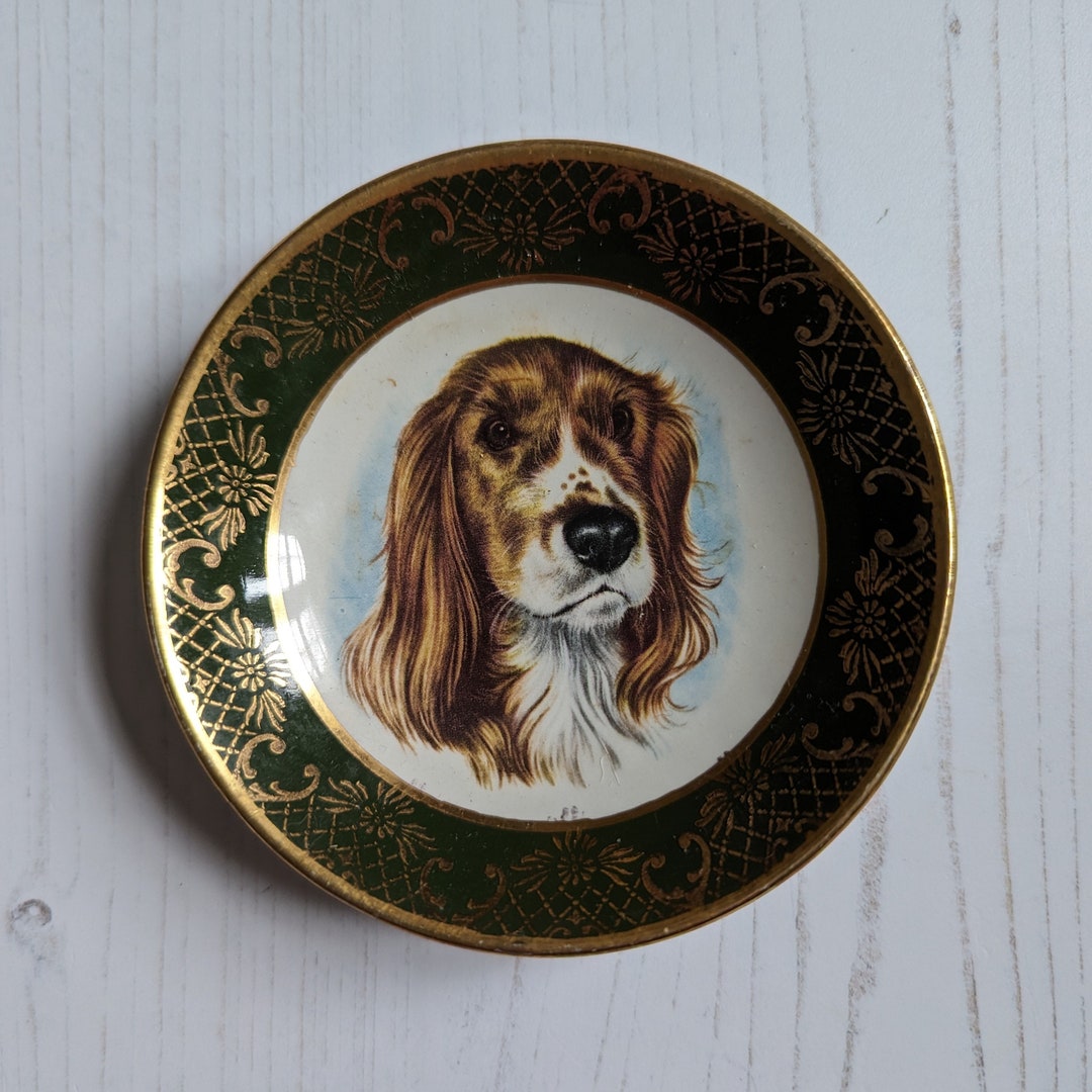 Royal Falcon Ironstone Irish Setter Design Small Trinket Dish England ...