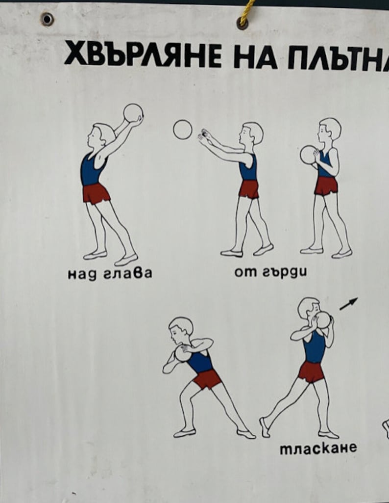 Physical Education Poster Chart Manual Original 1980 School - Etsy