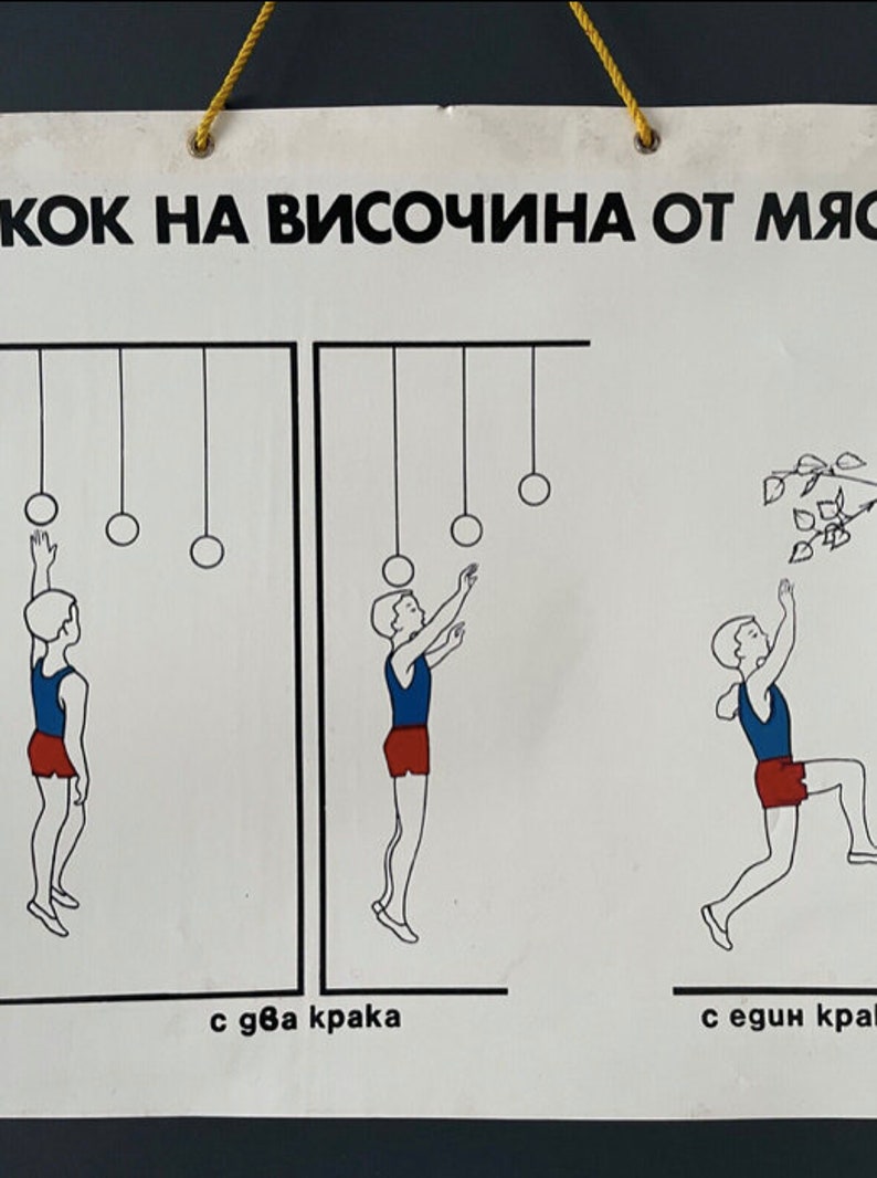 Physical Education Poster Chart Manual Original 1980 School - Etsy