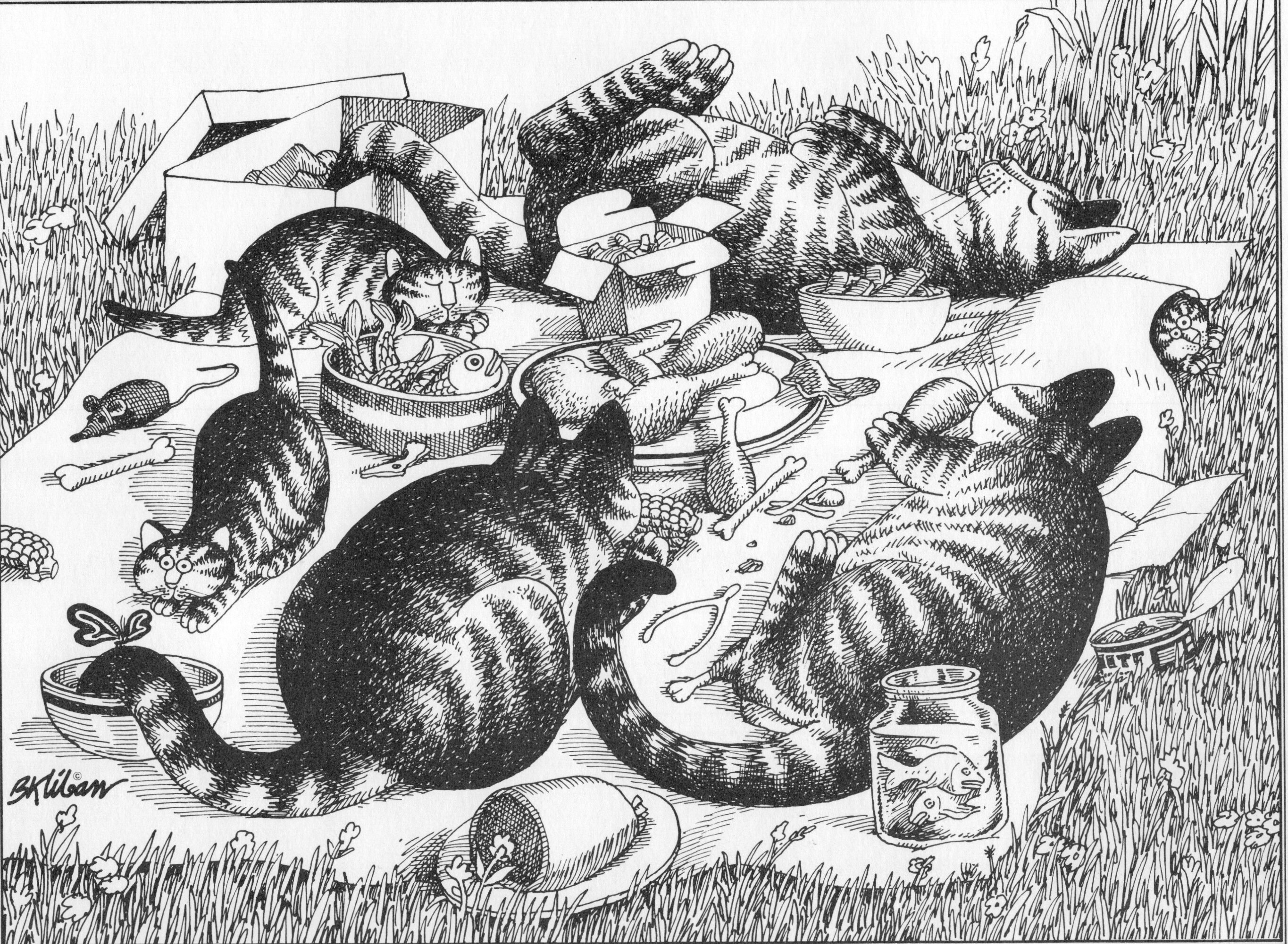 Kliban Cat Original Vintage Cat Print.august02. Original Vintage Book ...