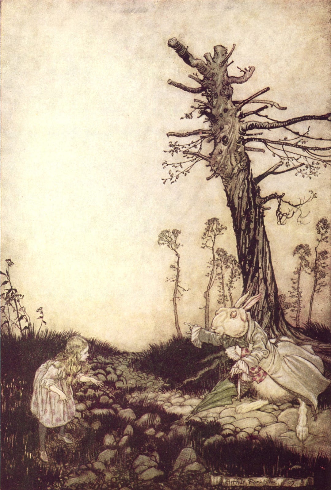 Alice in Wonderland by Arthur Rackham 4 of 13 - Etsy