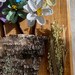 Spring Wall Art - Etsy