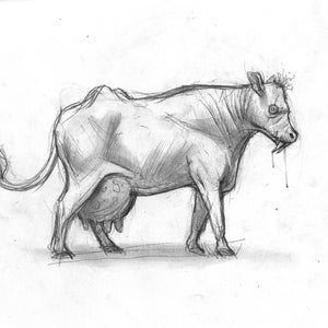 Pembrick's Creaturepedia (toothy Cow Edition) - Etsy