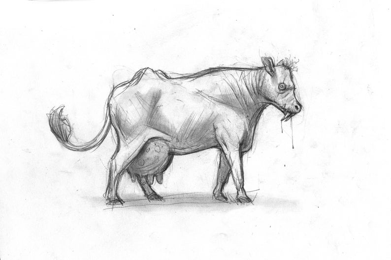 Pembrick's Creaturepedia (toothy Cow Edition) - Etsy