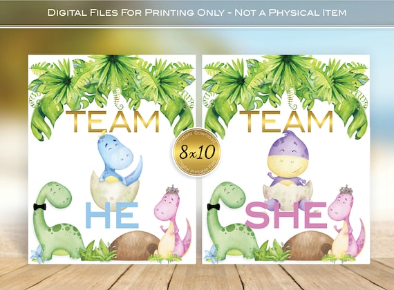 Dinosaur Gender Reveal Team He or Team She 8x10 Table Sign - Etsy