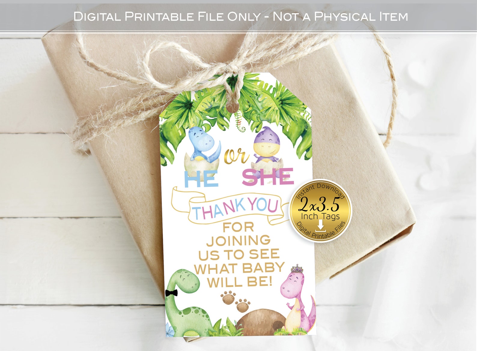 Dinosaur Gender Reveal He or She 2x3.5 Favor Tags | Thank You for ...