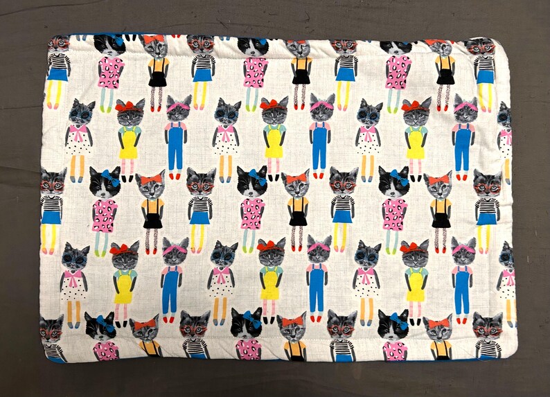Cat Mat, Catnip Kitties Cat Mat, Cat Toy, Catnip Play Mat, Cat Carrier ...