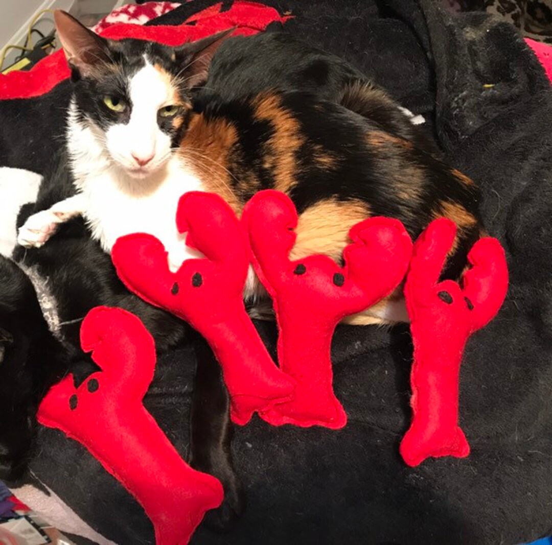 Lobster Catnip Cat Toy Large Lobster Cat Toy Lobster Cat - Etsy UK