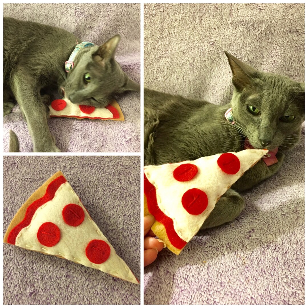 Cat Pepperoni Pizza Catnip Toy, Felt Pizza Catnip Toy, Pizza Cat Toys ...