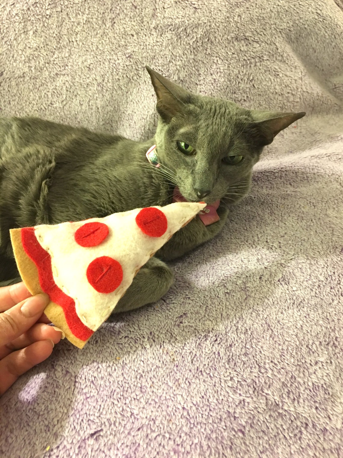 Cat Pepperoni Pizza Catnip Toy, Felt Pizza Catnip Toy, Pizza Cat Toys ...