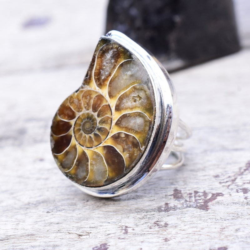 Ammonite Rings for Men - Etsy