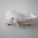 Small Albino Beluga - Handmade Plush Toy - Etsy