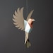 Robin Red Papercraft 3d Bird: SVG and PDF Template. Low Poly Bird ...