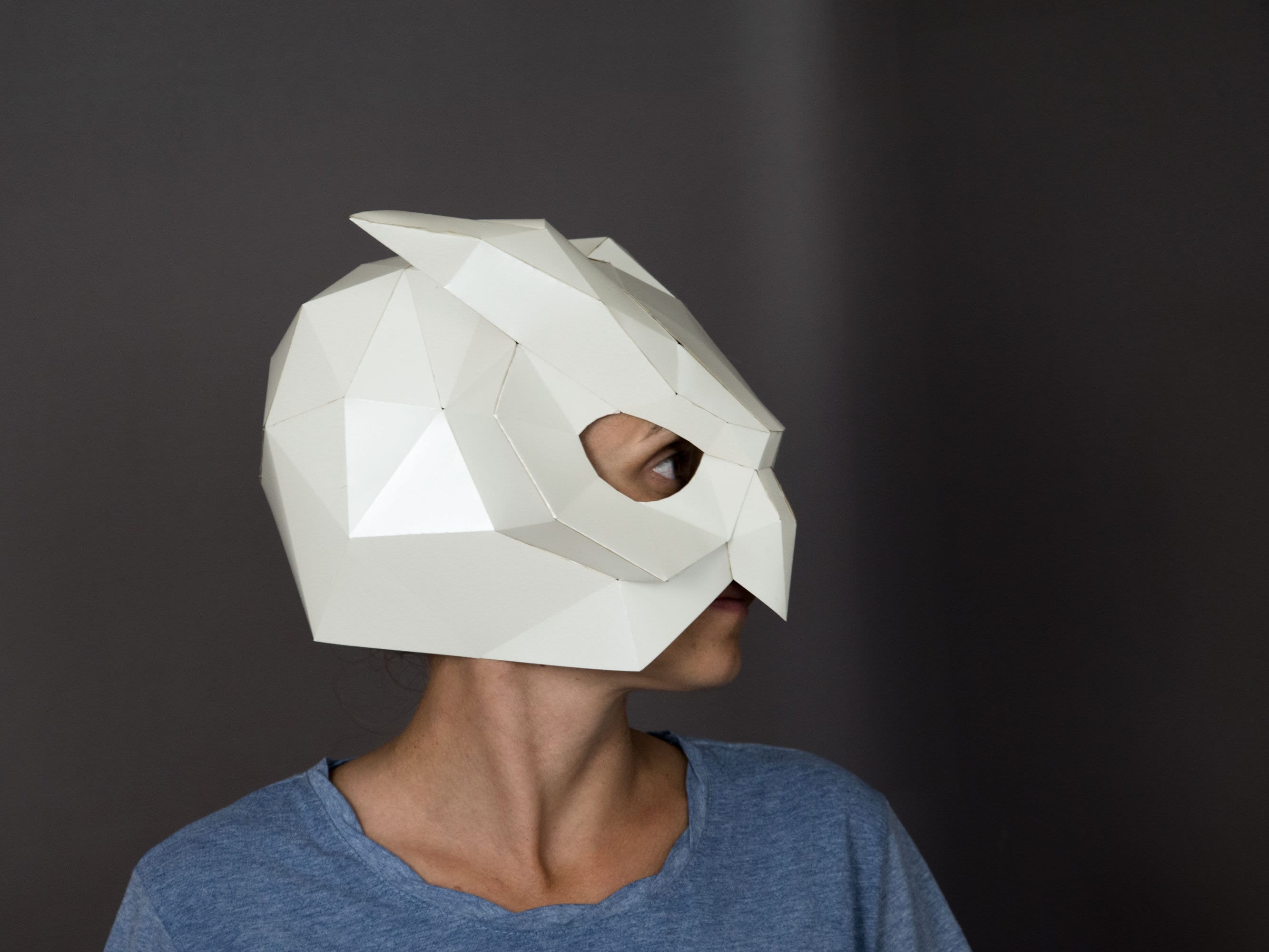Papercraft Owl Mask. Low Poly Papercraft Mask for an Owl - Etsy