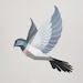 3d Papercraft Bird, Pigeon, Dove, PDF & SVG File. Paper Craft Low Poly ...