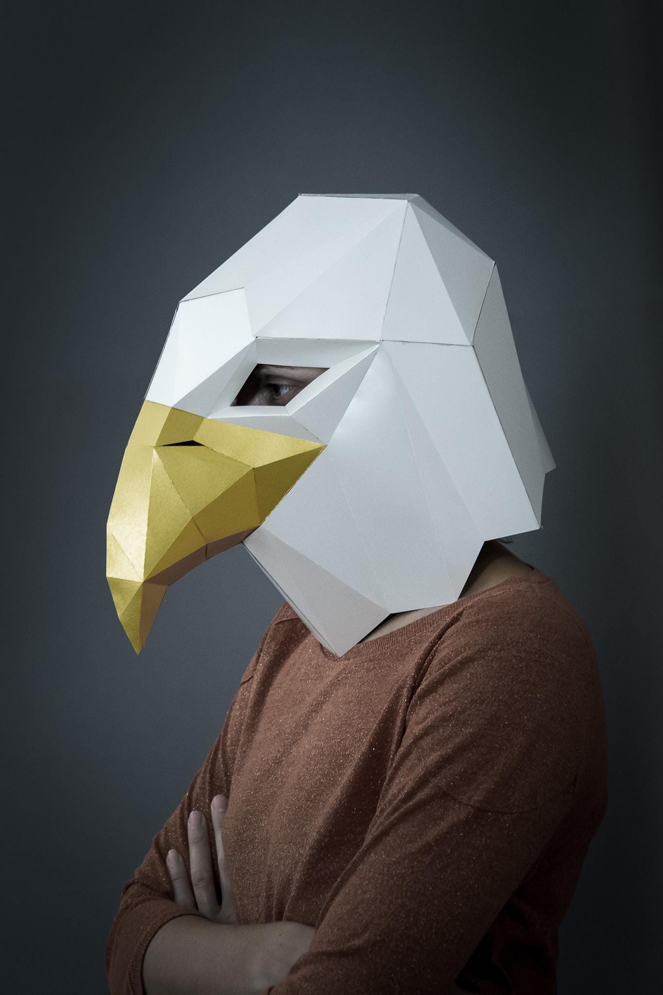 Eagle Mask Template. 3D Papercraft Mask for a Bird Costume: Halloween ...