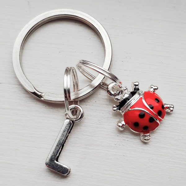 Ladybug Charm - Etsy