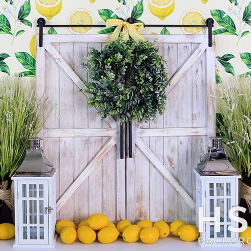Lemon Photography Backdrop Vinyl Newborn Photo Props Canvas | Etsy