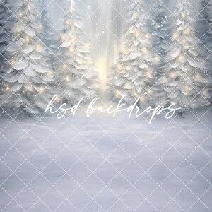 Winter Wonderland Backdrop Photography, Winter Forest Backdrop, Winter ...