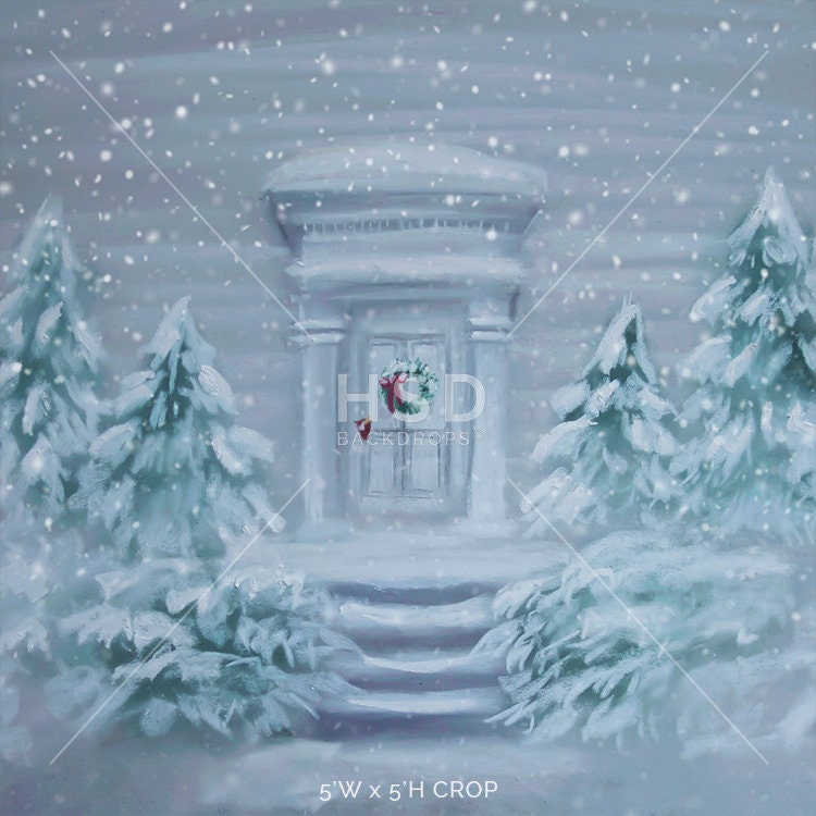 Winter wonderland backdrop - retyinstitute