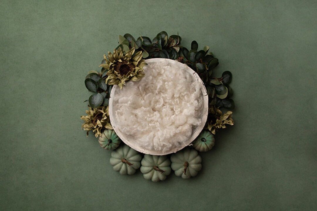 Fall Digital Backdrop, Newborn Digital Backdrops, Digital Photo ...