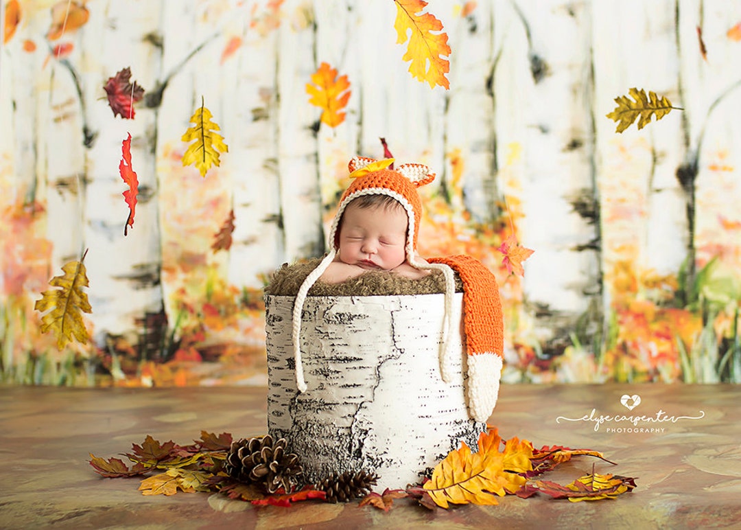 Fall Photo Backdrop, Fall Photography Backdrop, Fall Photo Props ...