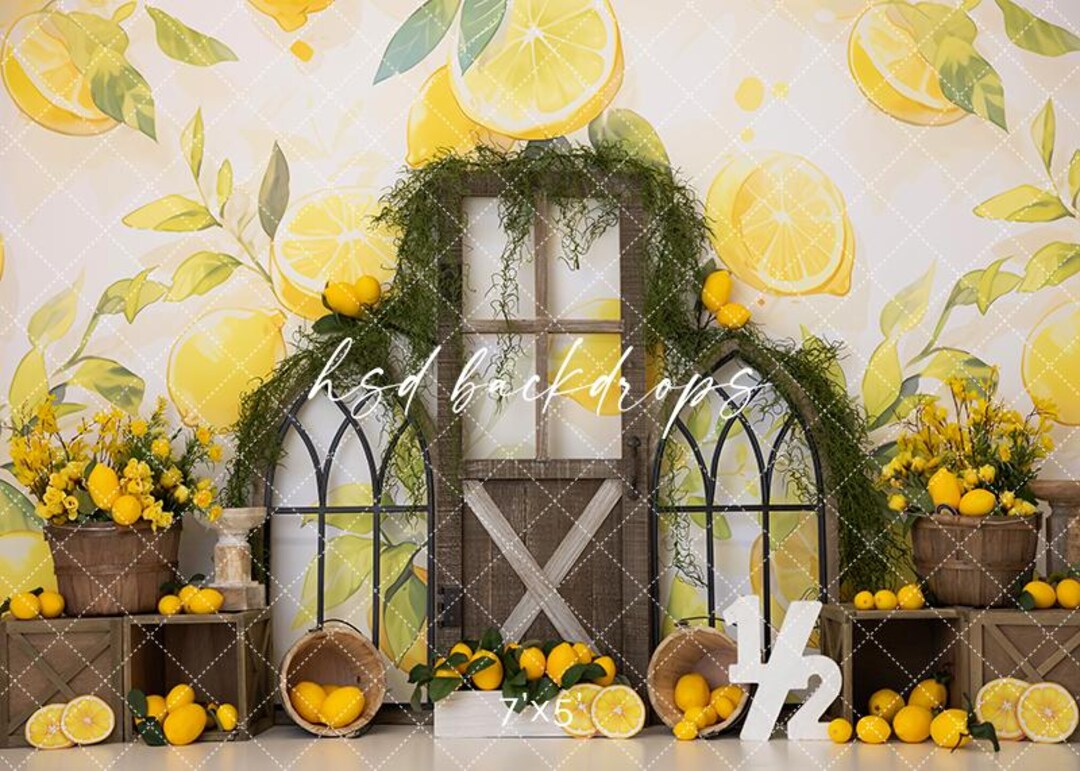 1/2 Dozen Lemons Backdrop - 6 Month Milestone Backdrop - Cake Smash ...