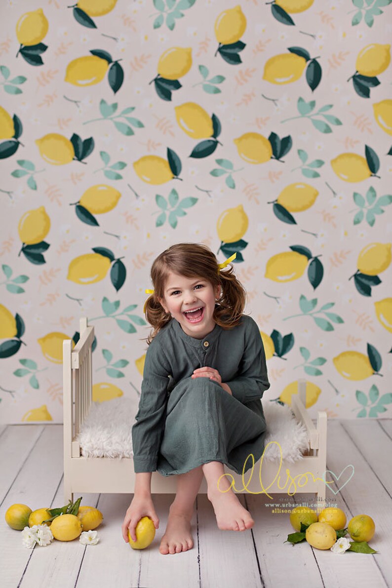 Lemon Photography Backdrop Vinyl Newborn Photo Props Canvas - Etsy