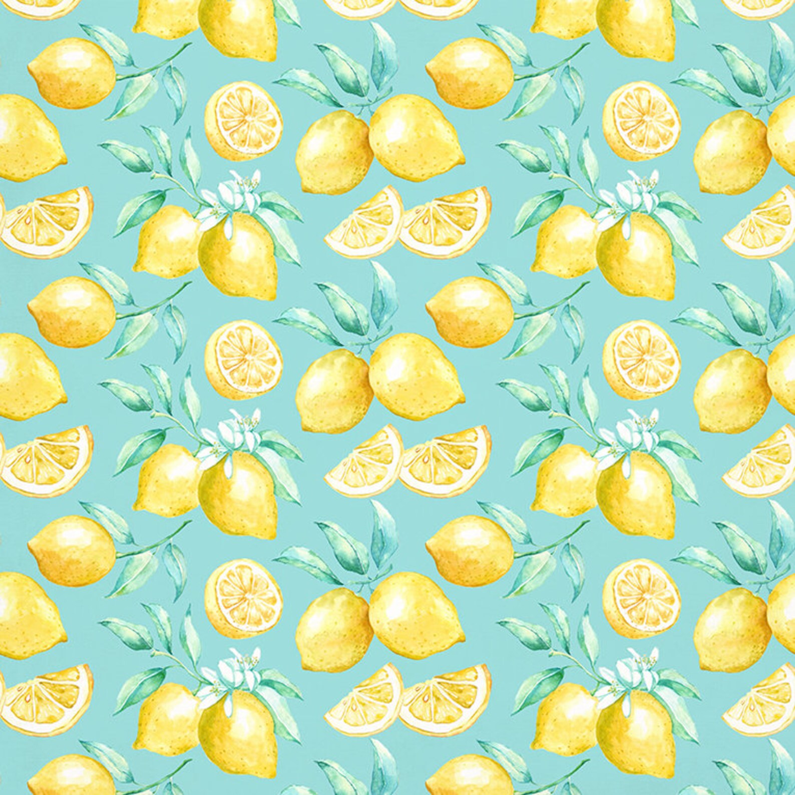 Lemon Photography Backdrop Vinyl Newborn Photo Props Canvas - Etsy