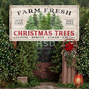 Christmas Tree Farm Backdrop for Photography, Christmas Photo Backdrop ...