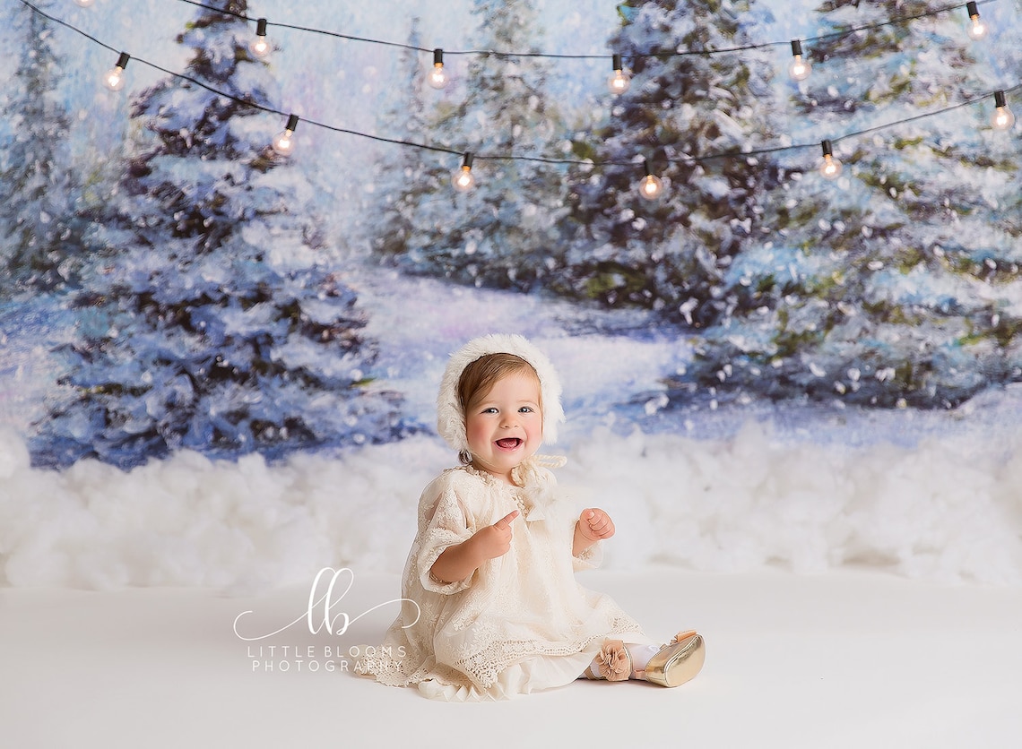 Winter Wonderland Photo Backdrop Christmas Photo Backdrop - Etsy