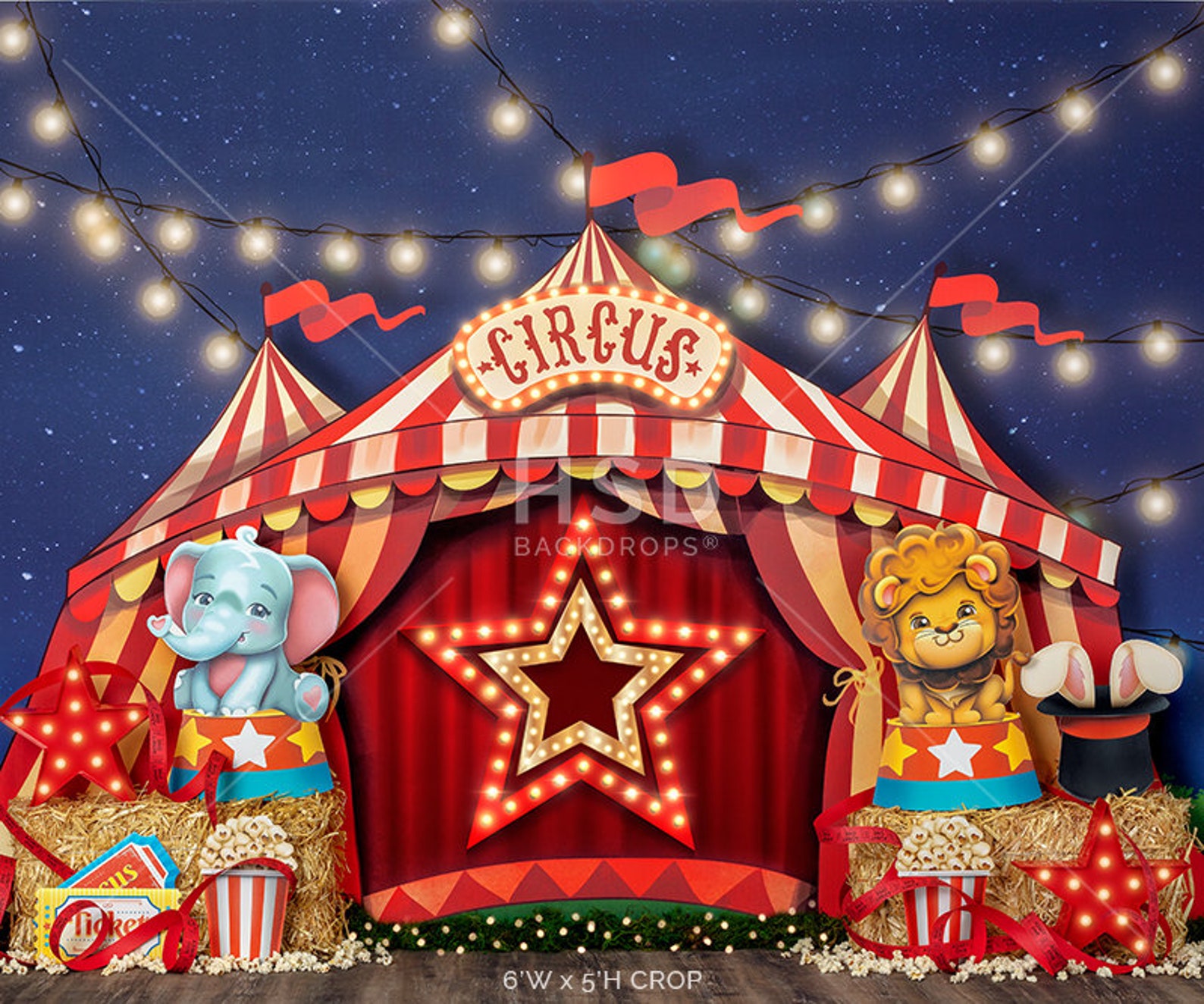 Circus Photography Backdrop Circus Photo Backdrop Circus - Etsy