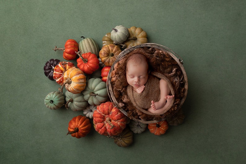 Fall Digital Backdrop Newborn Baby Digital Backdrops Digital - Etsy