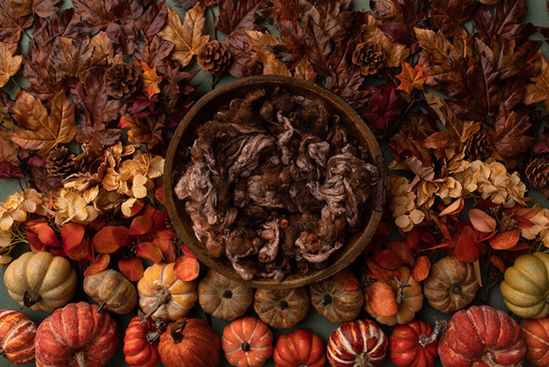 Fall Digital Backdrop, Newborn Baby Digital Backdrops, Digital ...