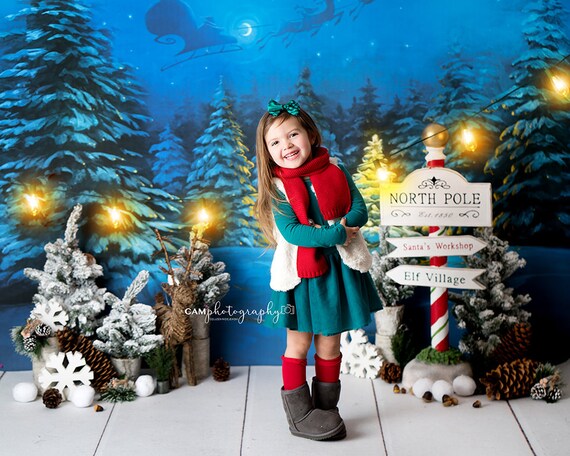 Christmas Photography Backdrops Props