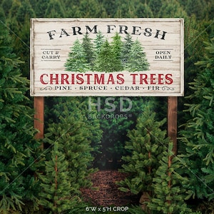 Christmas Tree Farm Backdrop for Photography, Christmas Photo Backdrop ...