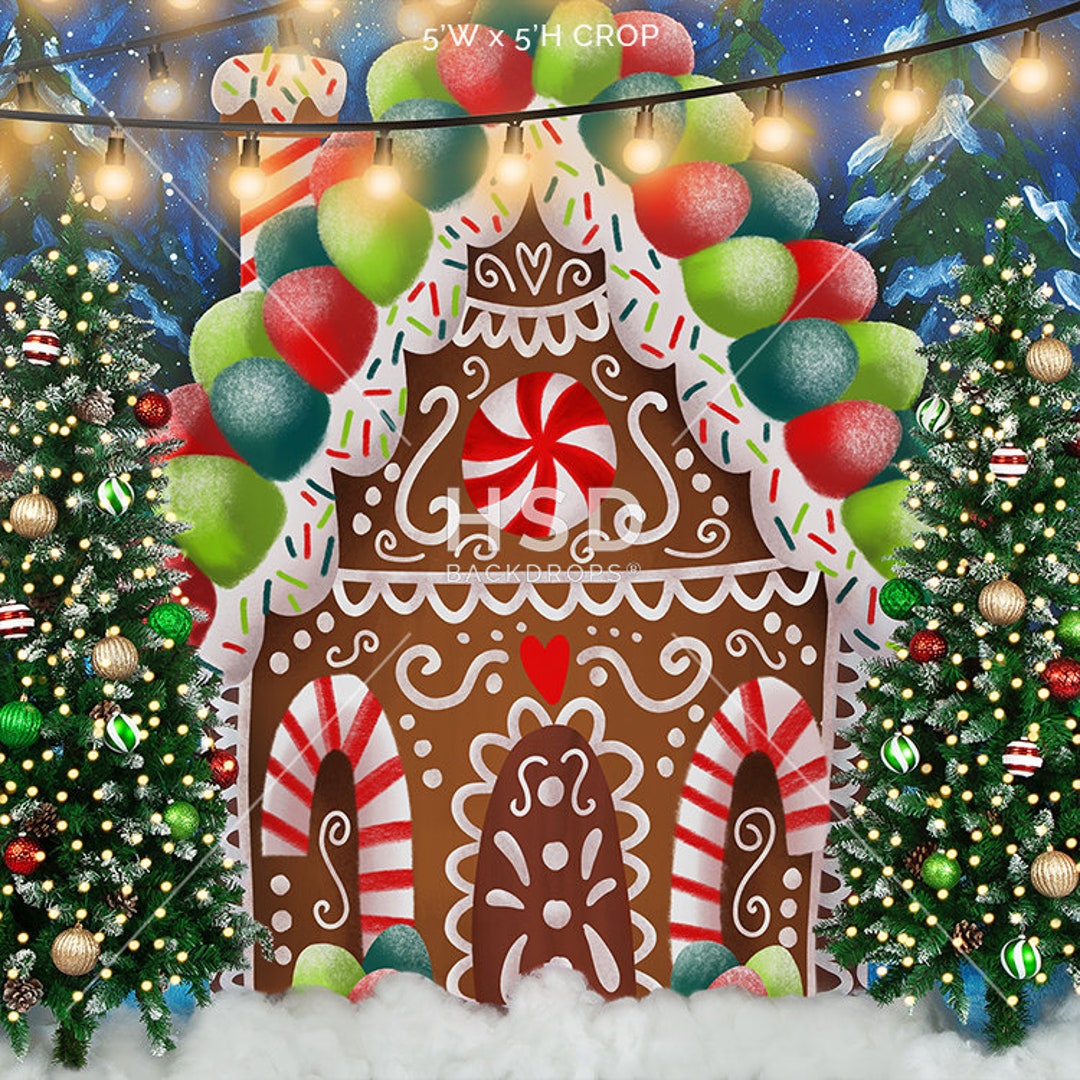 Gingerbread House Photo Backdrop Christmas Photo Backdrop Gingerbread