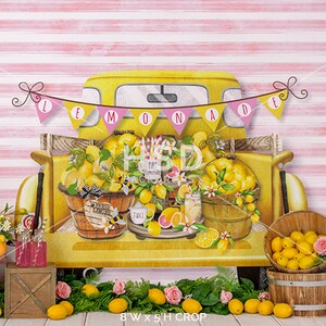 Lemon Backdrop, Lemon Photo Backdrop, Pink Lemonade Backdrop, Lemon ...