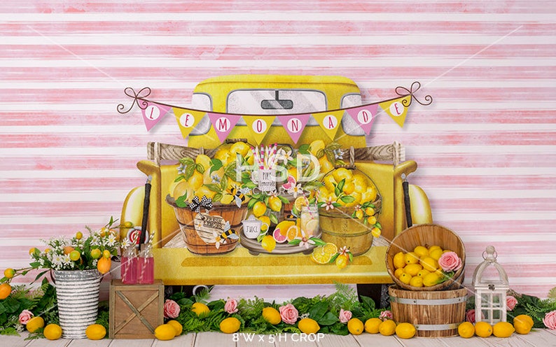 Lemon Backdrop Lemon Photo Backdrop Pink Lemonade Backdrop - Etsy