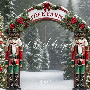 Nutcracker Entrance Backdrop for Photography, Christmas Backdrop ...