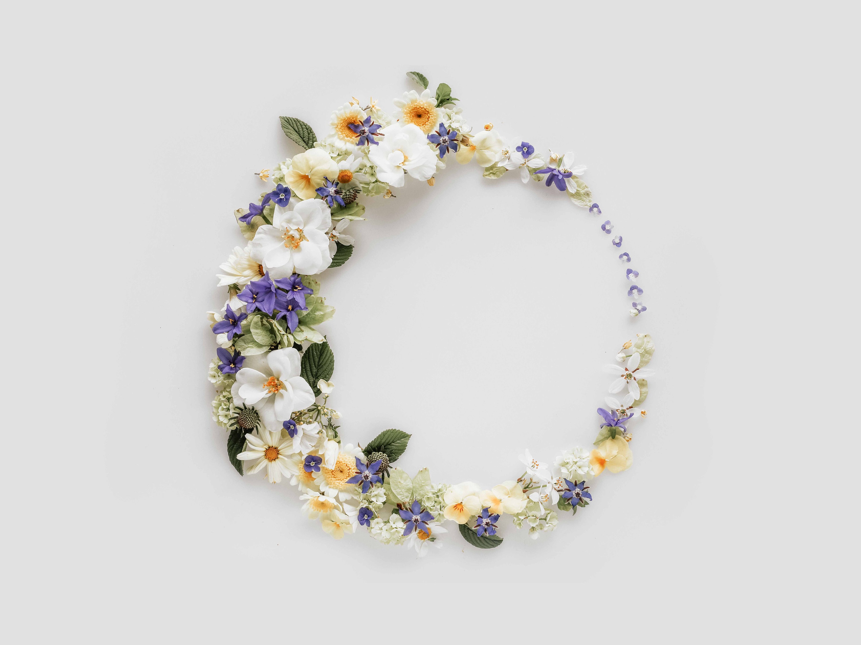Printable Floral Wreath - Flower Print - Downloadable Floral Wreath ...