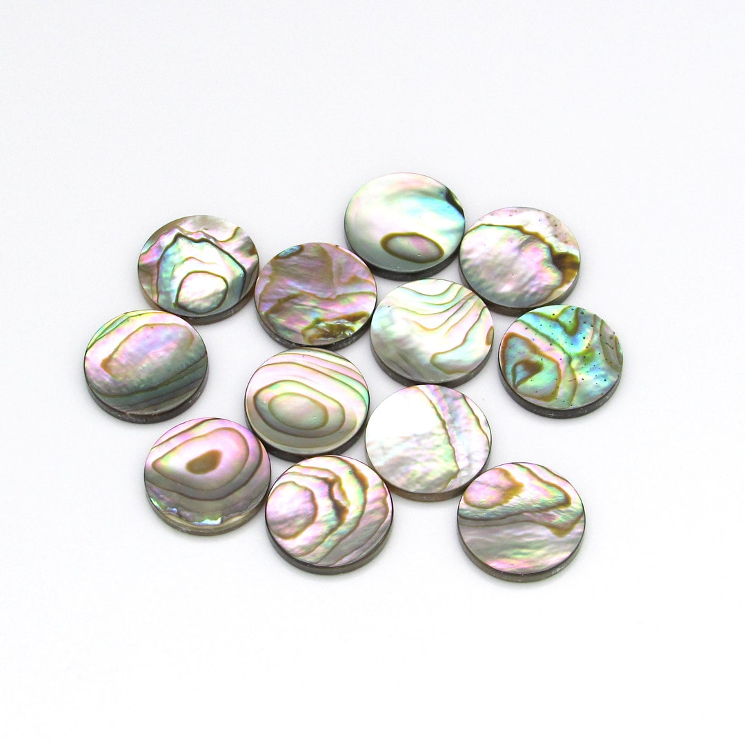 15mm Flat Round Cabochons, Natural Paua Shell Abalone - Etsy