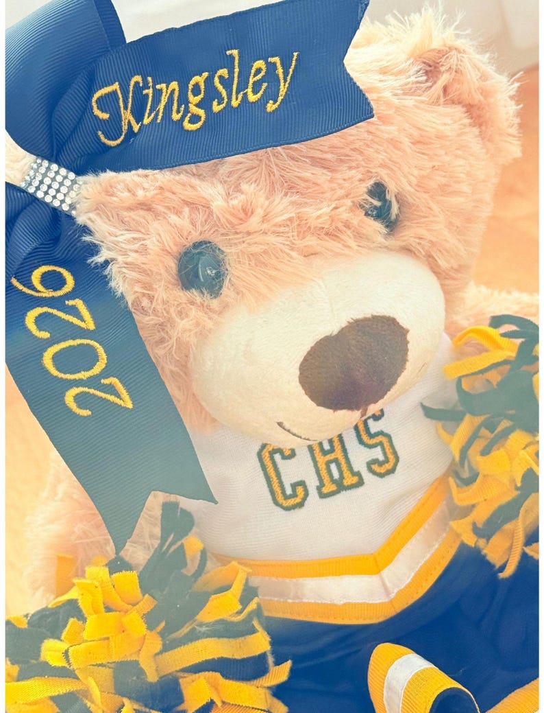 Personalized Cheer Bear Gift – Custom Embroidered Uniform & Bow ...