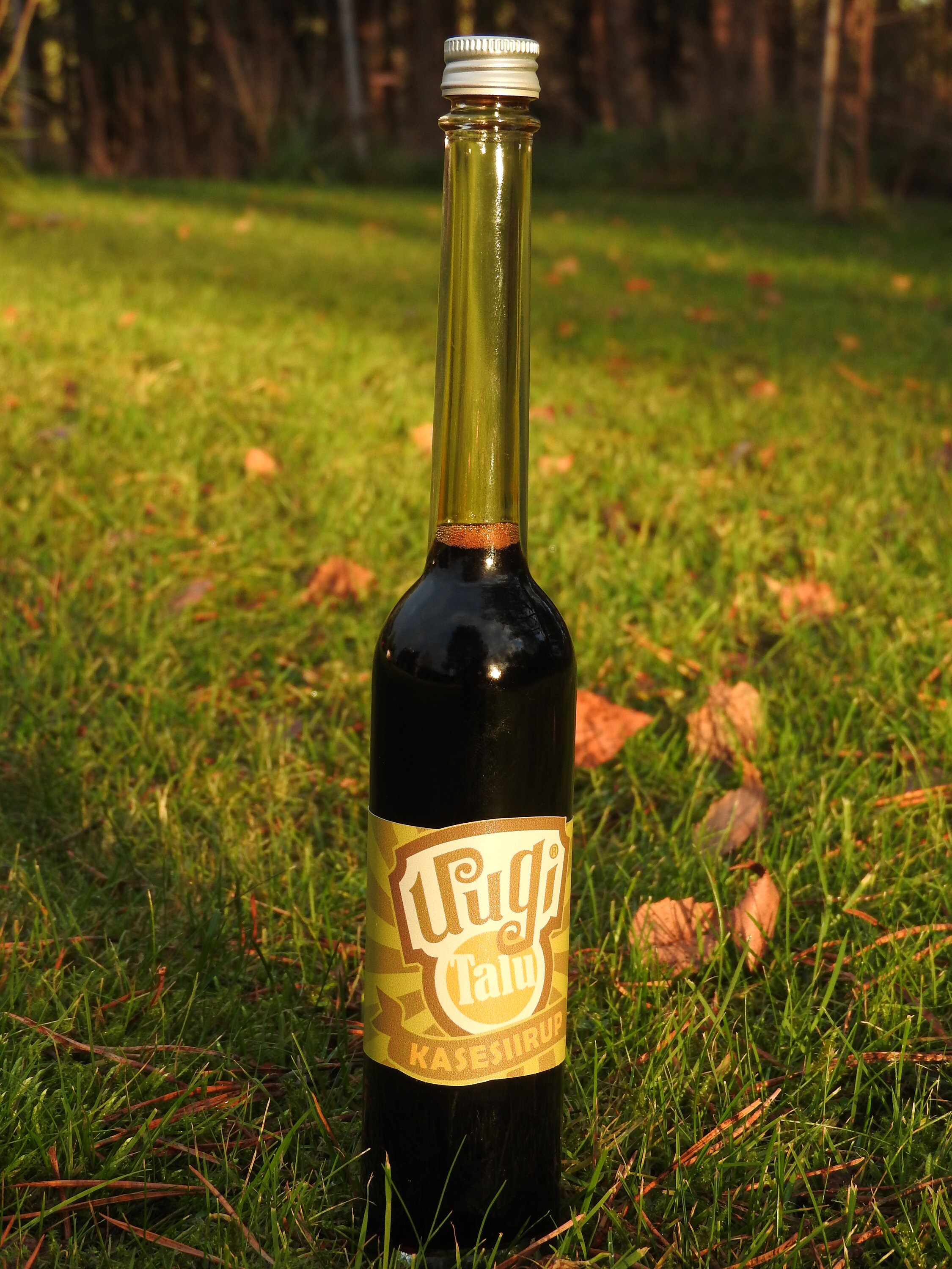 ORGANIC BIRCH SYRUP, Pure Birch Syrup, Rare Birch Syrup, 100 Ml Syrup ...