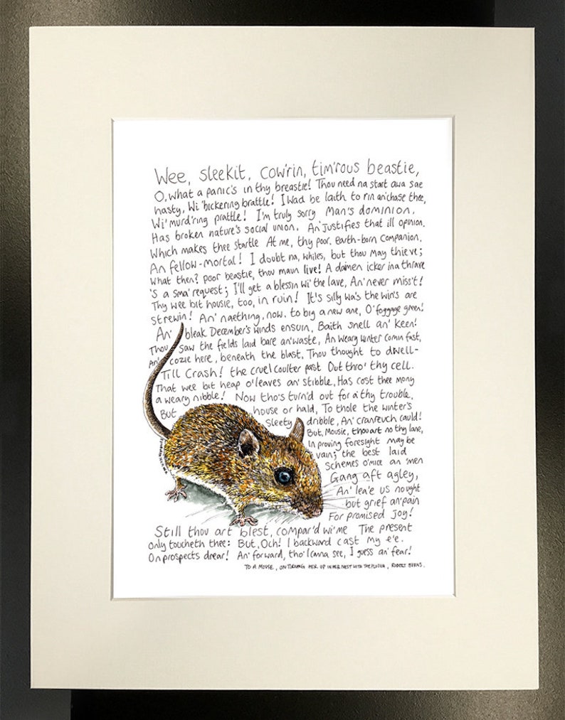 To A Mouse, a Robert Burns Inspired Sketch. A Signed Print From an ...