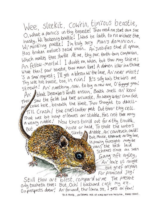 To A Mouse Robert Burns Mounted Print From Original Pen Sketch - Etsy UK