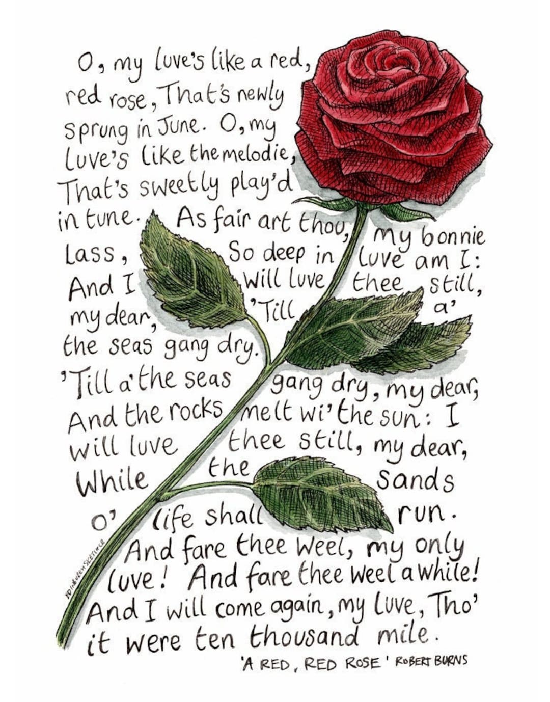 A Red Red Rose by Robert Burns. A Mounted Signed Print From Original ...